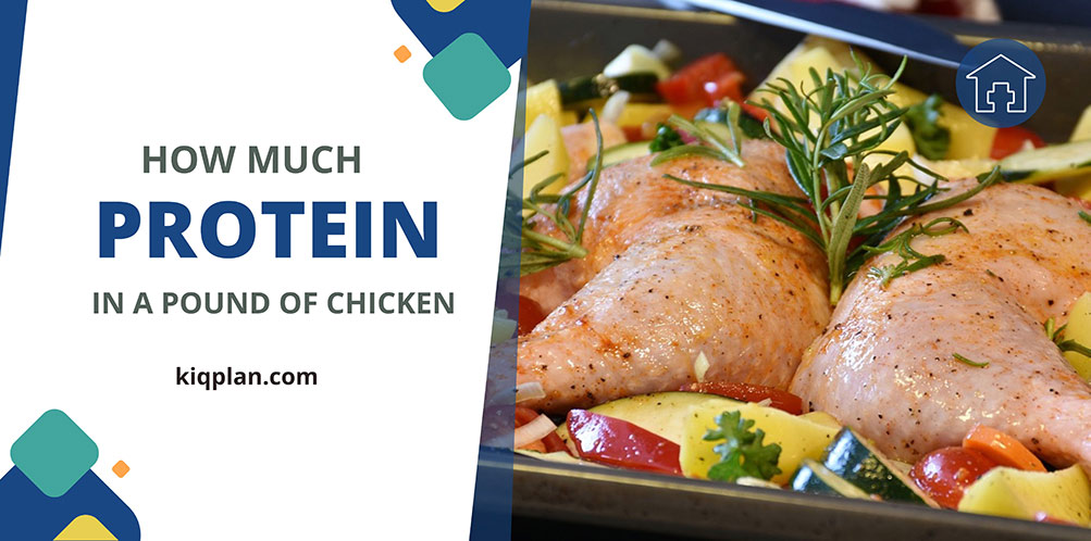 How Much Protein in a Pound of Chicken - KIQ PLAN